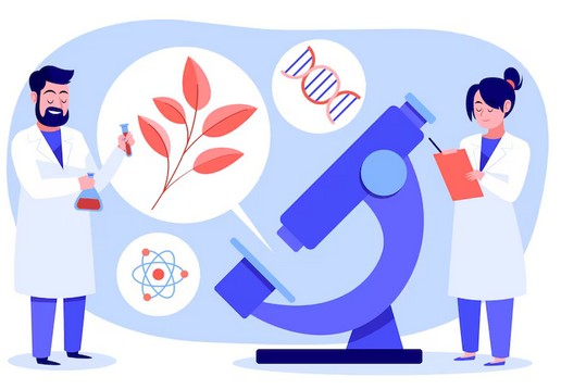 Collège Anatole France - 42 rue Jean Jaurès, 78340 Les-Clayes-sous-Bois ...